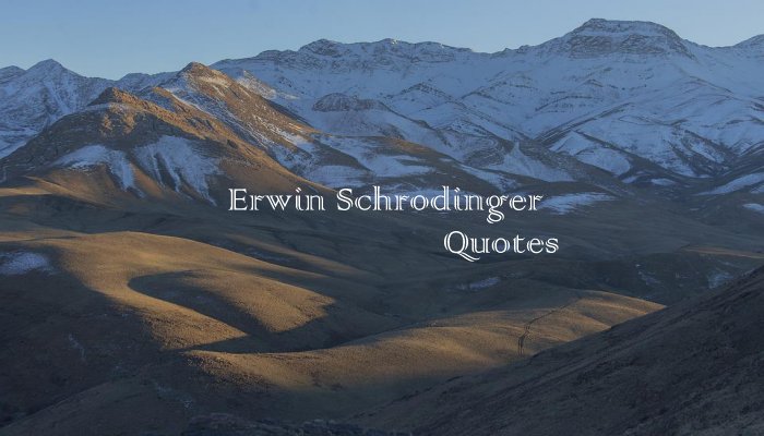 Erwin Schrodinger Quotes - Golden Proverbs