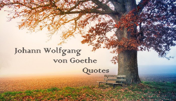 Johann Wolfgang von Goethe Quotes - Golden Proverbs